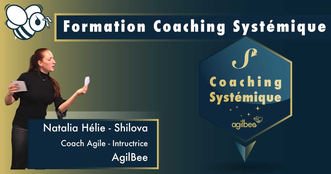 Coaching Systémique | AgilBee (2024)